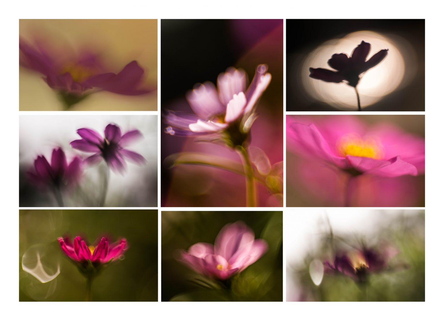 Eva Polak Magazine » Finding your own unique way in impressionist ...